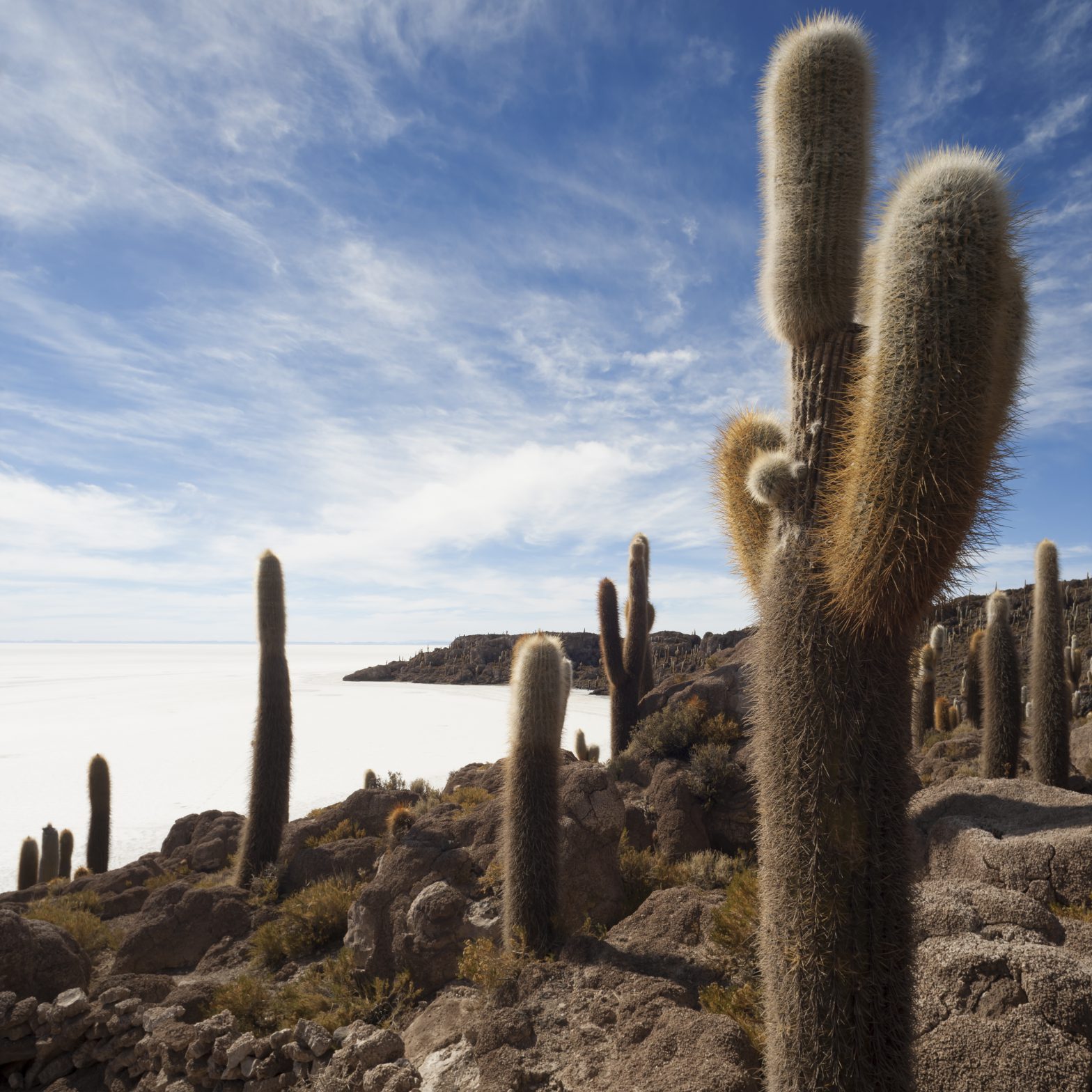 About Us - Welcome to the Sun Corridor Network