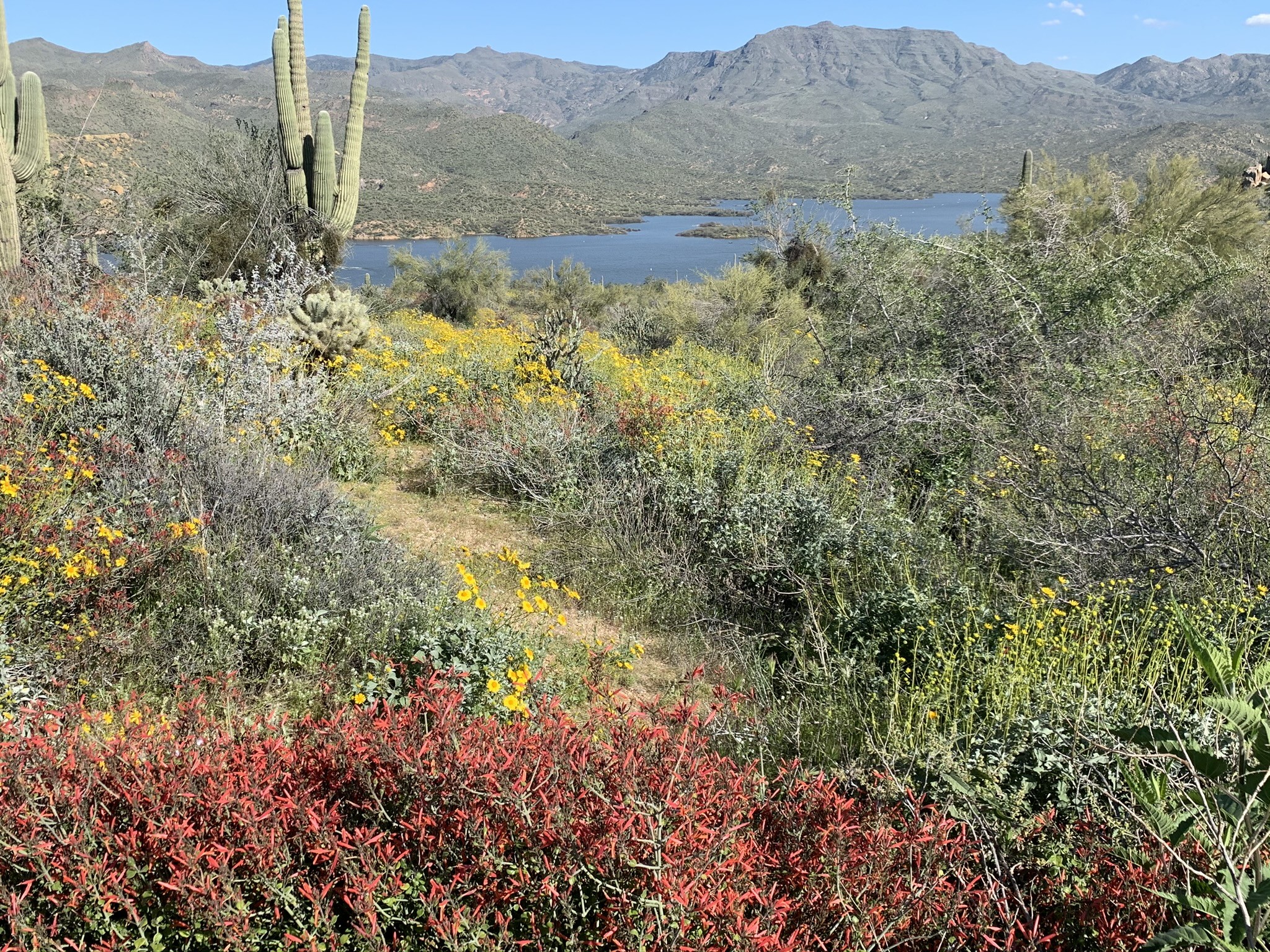 Why Sun Corridor - Welcome to the Sun Corridor Network